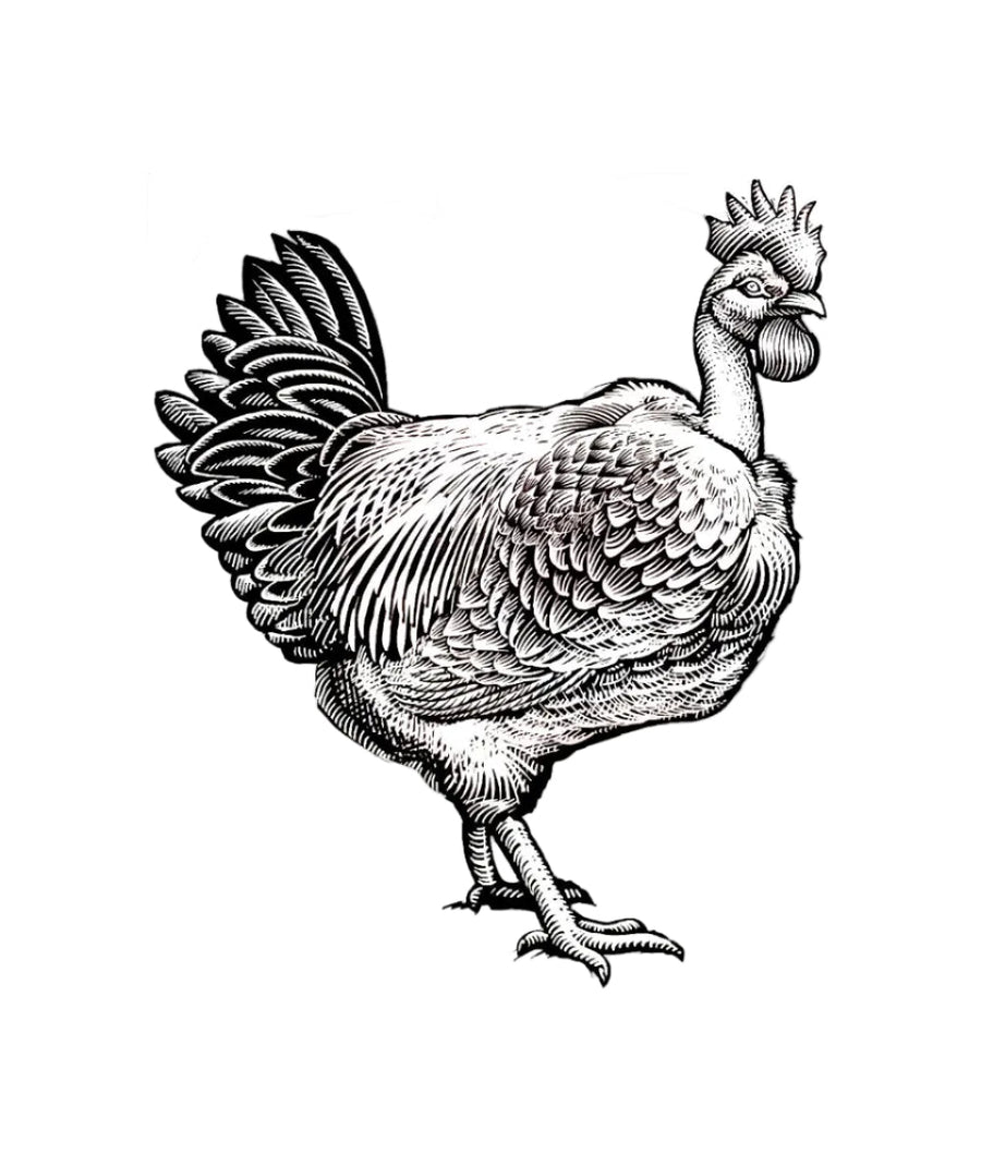 Poulet Rouge Heritage Chicken | Joyce Farms